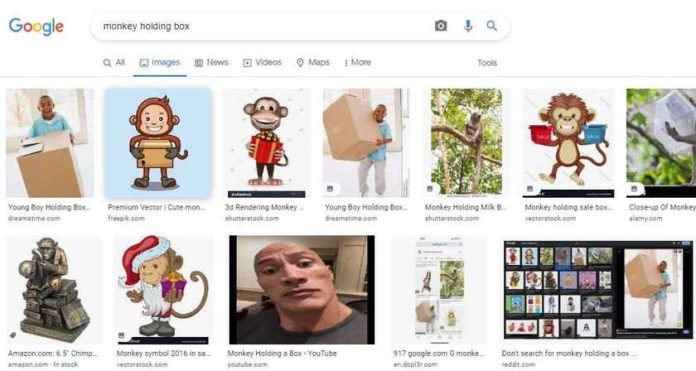 Monkey Holding a Box? Results are Same - HabitBomb